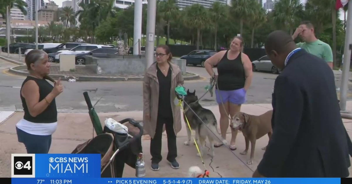 Residents' frustrations grow over Miami Riverwalk safety concerns - CBS ...