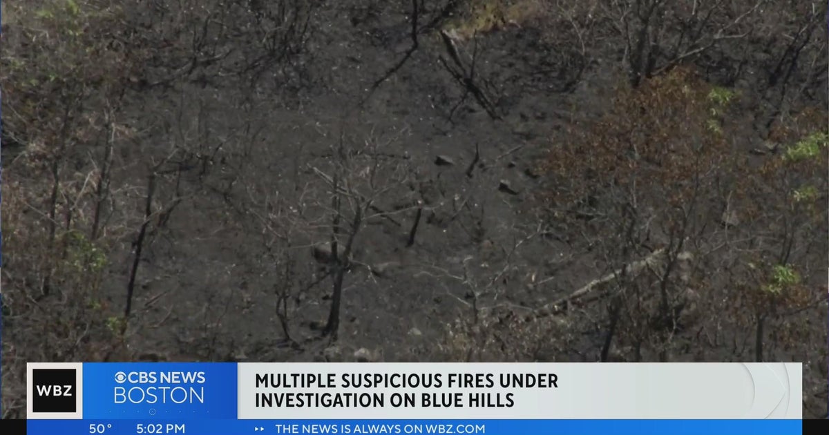 Multiple suspicious fires under investigation in Blue Hills - CBS Boston