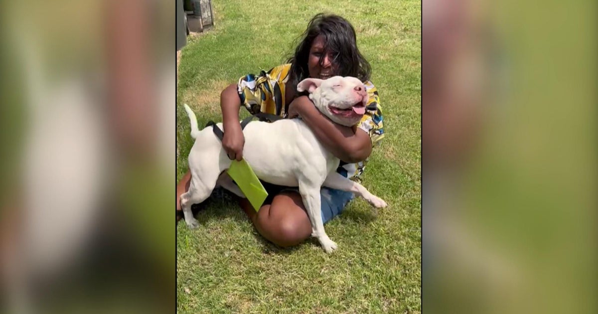ACCT Philly reunites lost dog with owner 3 years later - CBS Philadelphia