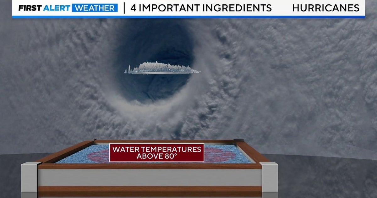 WJZ Hurricane Special Part 2: How does climate change impact hurricanes ...
