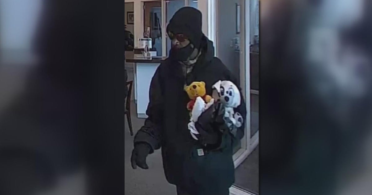 Have you seen the 'Stuffed Bear Bandit'? - CBS Chicago