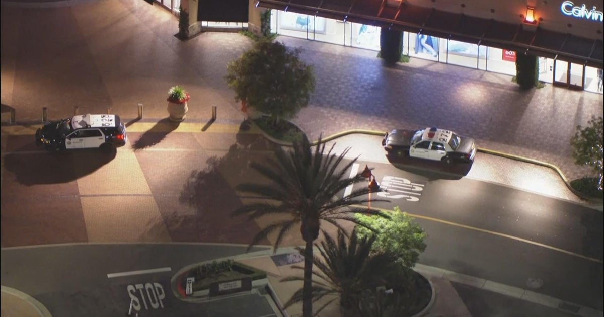 Robbery suspects steal $14,000 worth of merchandise from Coach store in ...