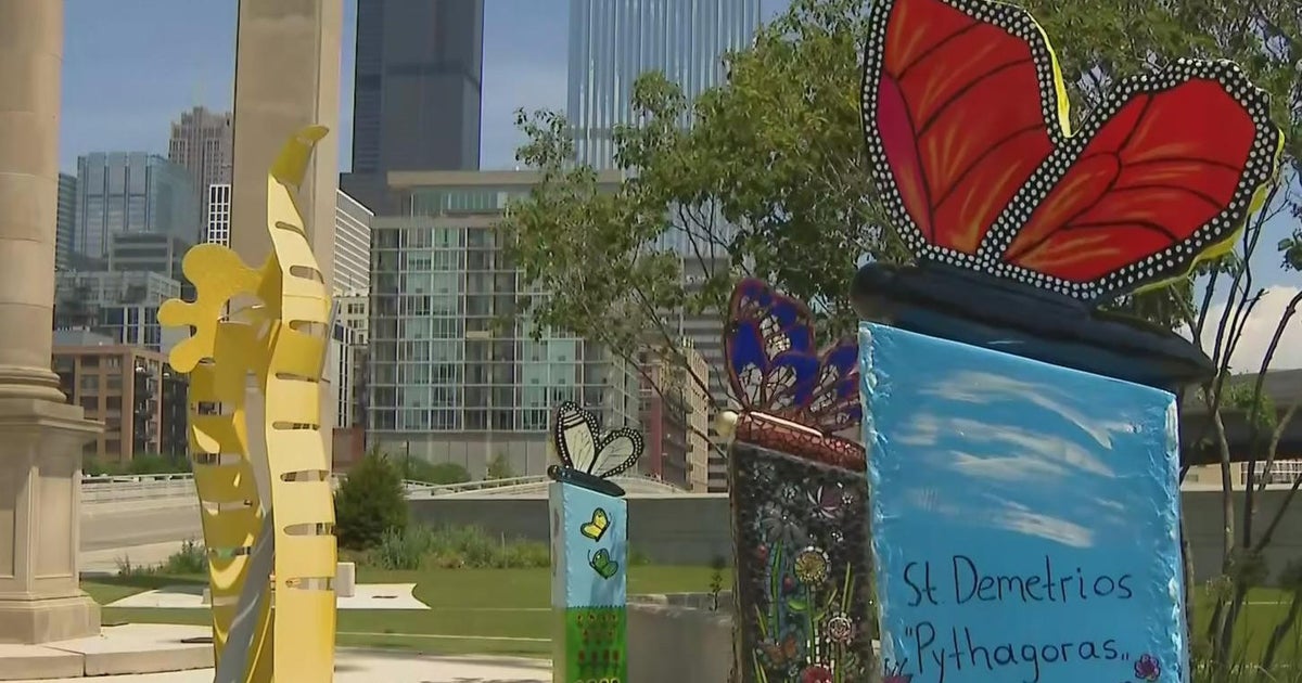New butterfly exhibit opening in Greektown - CBS Chicago