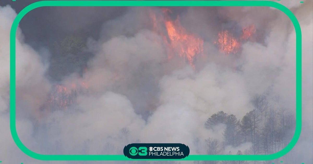 Bass River State Forest fire 100% contained - CBS Philadelphia