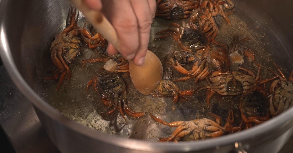 Cooking Green Crab Bisque with Chef Charles Draghi - CBS Boston