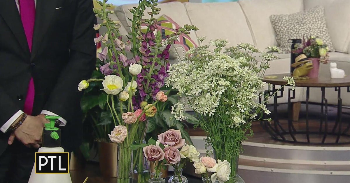 Summer planting season and beautiful flowers from Root + Bloom - CBS ...