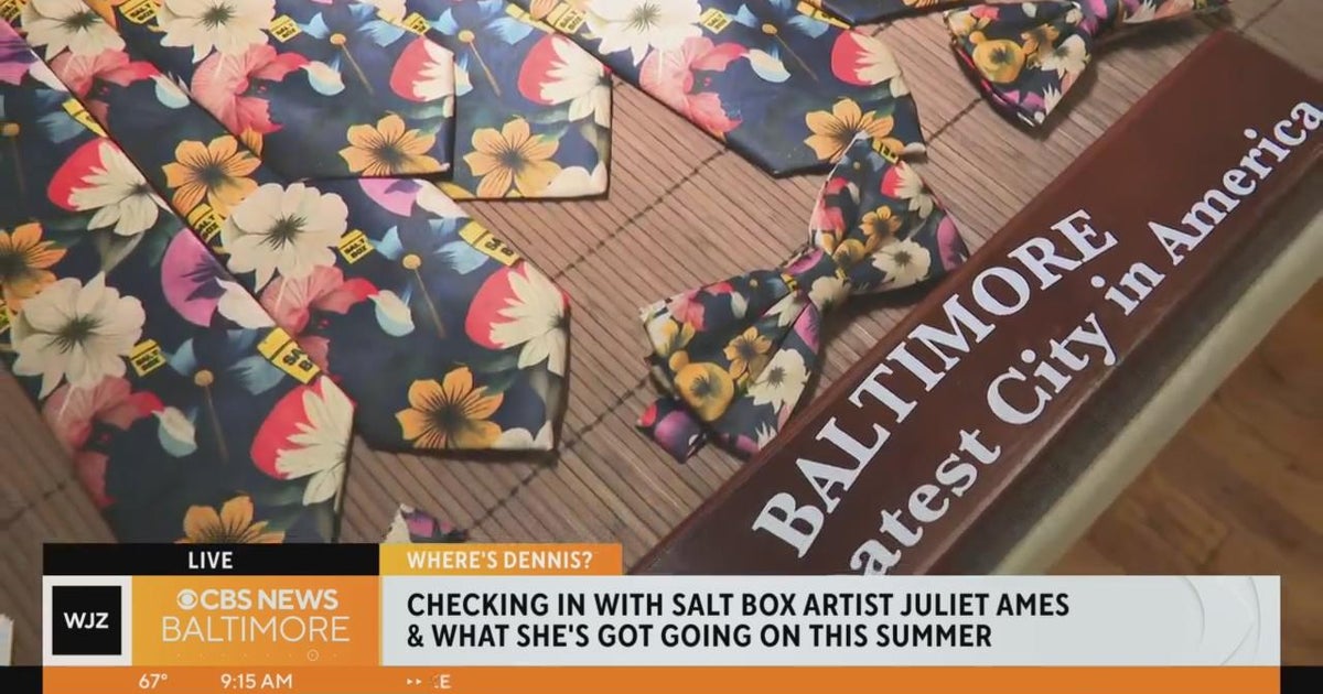 Where's Dennis? Learning about Salt Box art with artist Juliet Ames ...