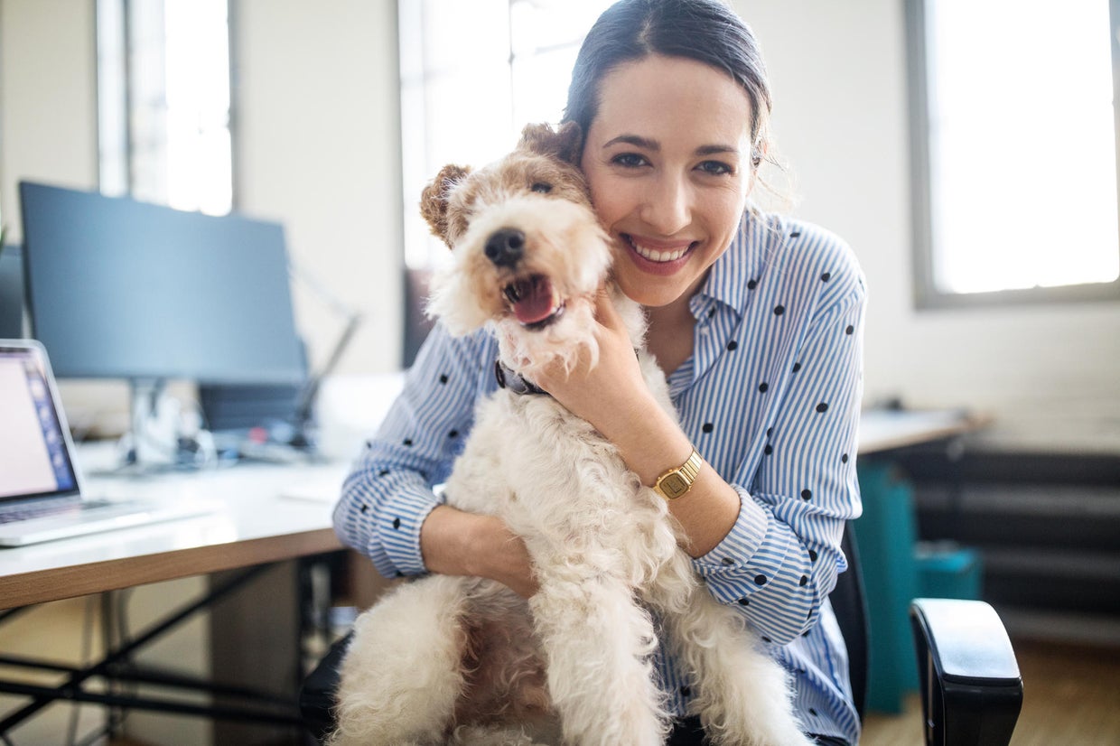 How to get pet insurance for your dog - CBS News