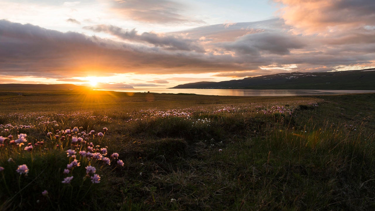 Summer Solstice news - Today’s latest updates - CBS News