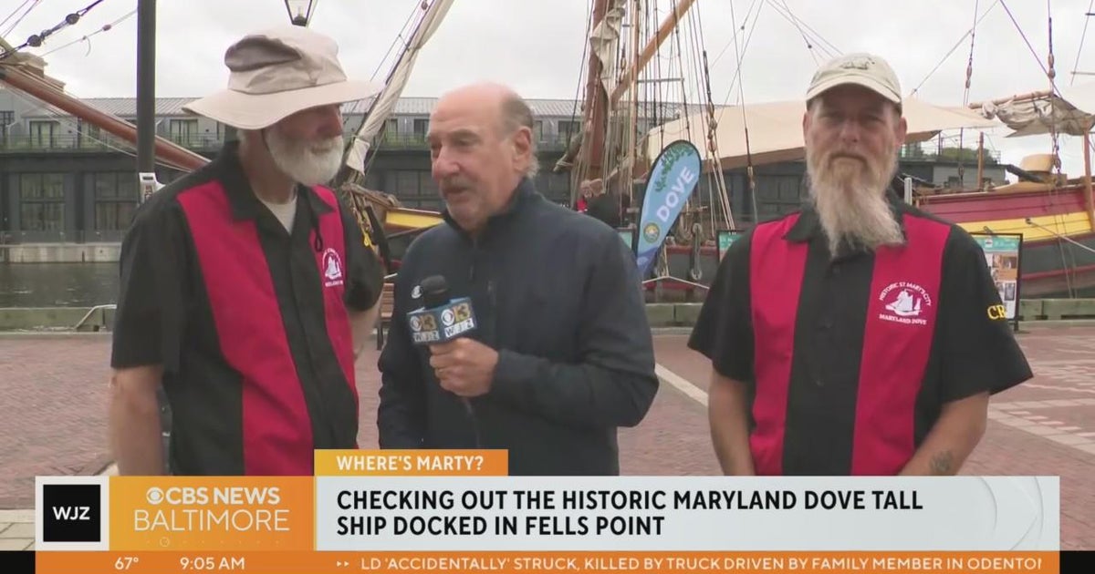 Where's Marty? Learning about the historic Maryland Dove Tall Ship ...