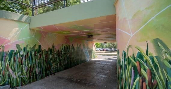 Minneapolis to unveil 9 new murals in city parks this year, in attempt ...