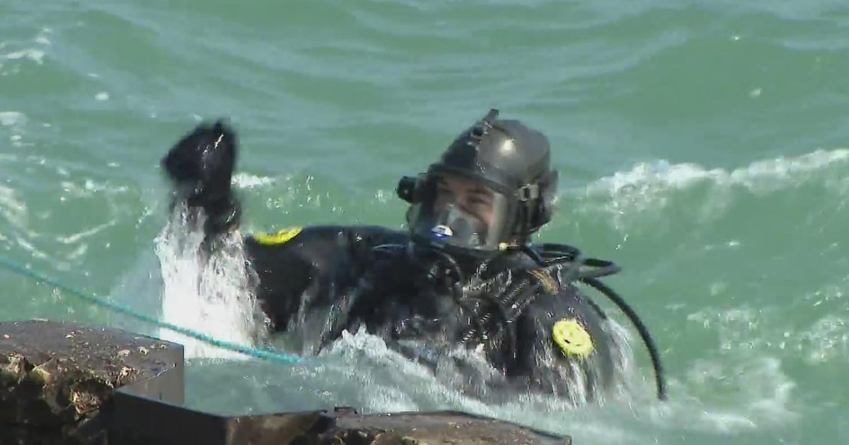 Body found in Lake Michigan near Foster Beach - CBS Chicago