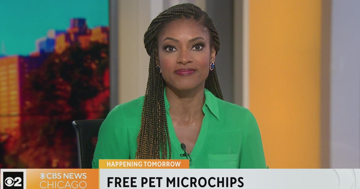Chicago Animal Care and Control giving free microchips for pets - CBS ...