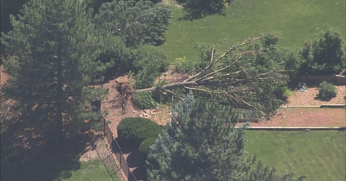 Tornado downs trees in Highlands Ranch, tree limb drop-off sites open ...