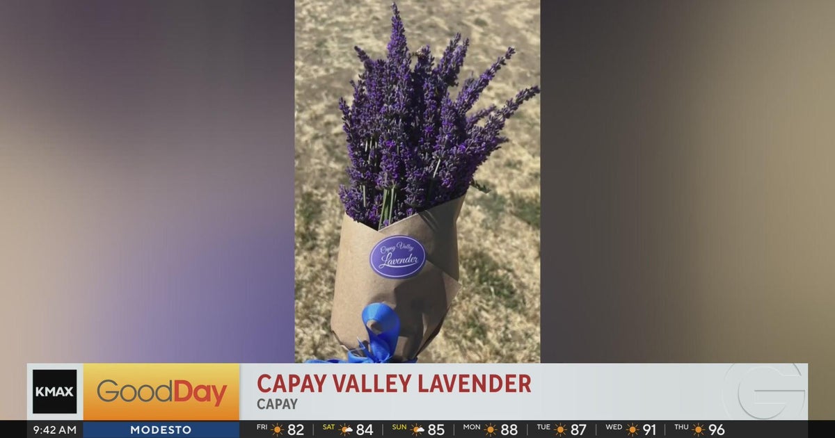 Capay Valley Lavender - Good Day Sacramento