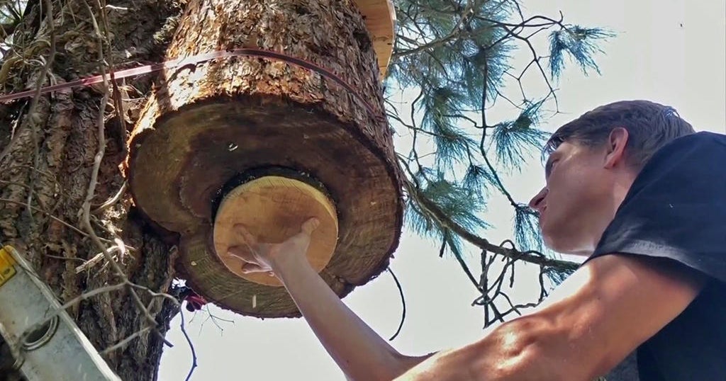 Beekeeper looks to the trees for new hive design - CBS San Francisco