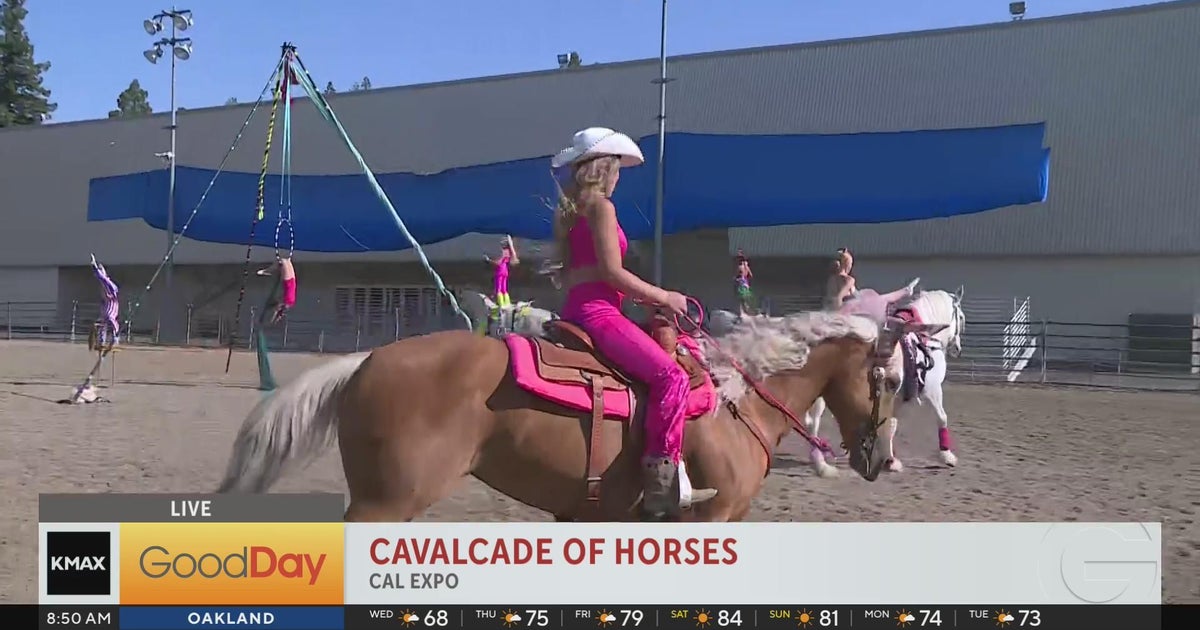 Cavalcade of Horses at the State Fair! - Good Day Sacramento