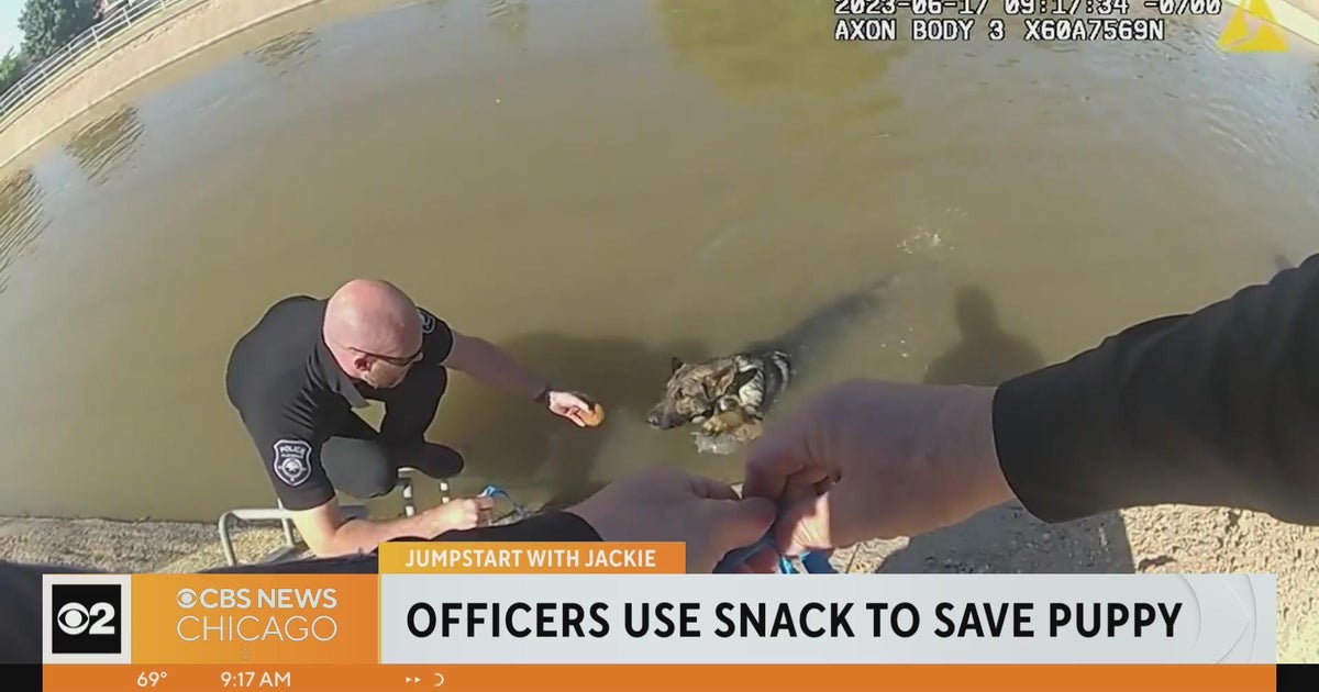 Jumpstart with Jackie: audience helps Lewis Capaldi finish song ...