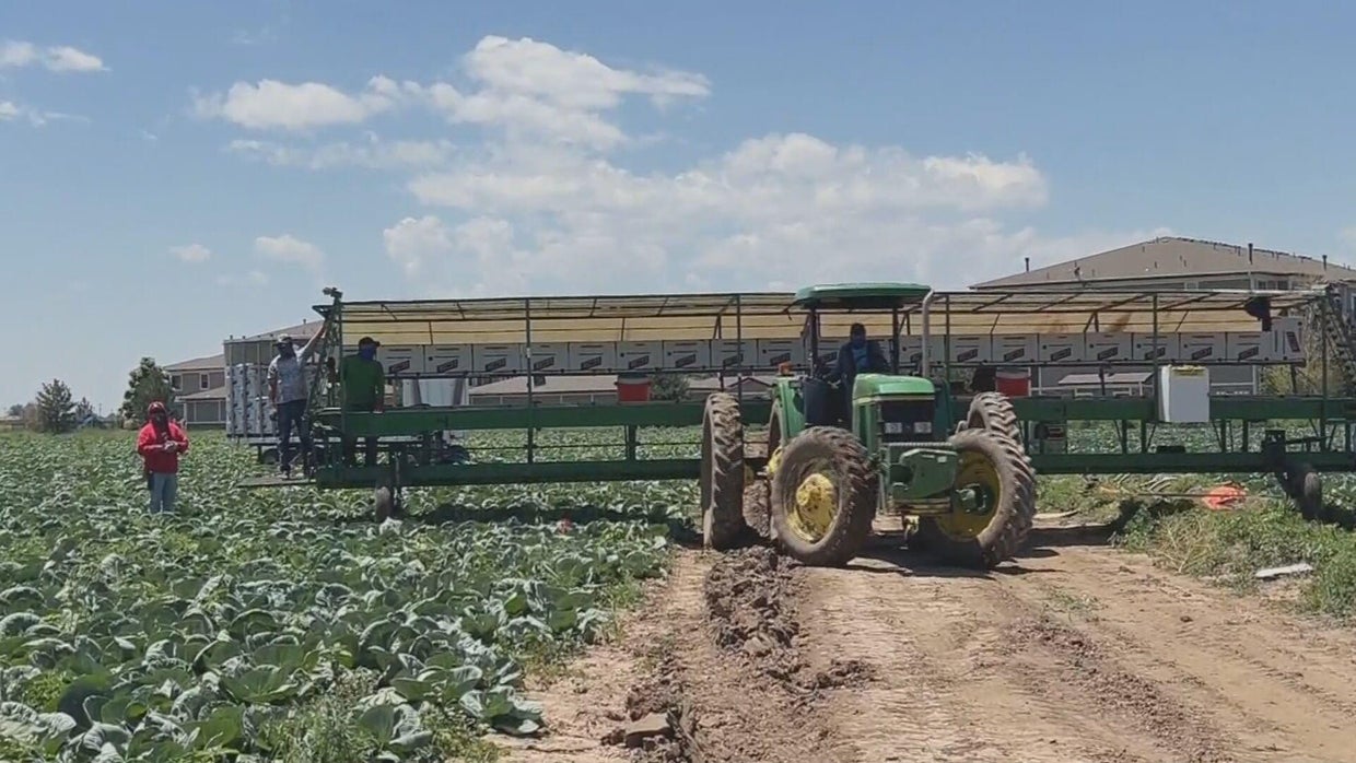 Brighton preserves historic farm in $9 million acquisition - CBS Colorado