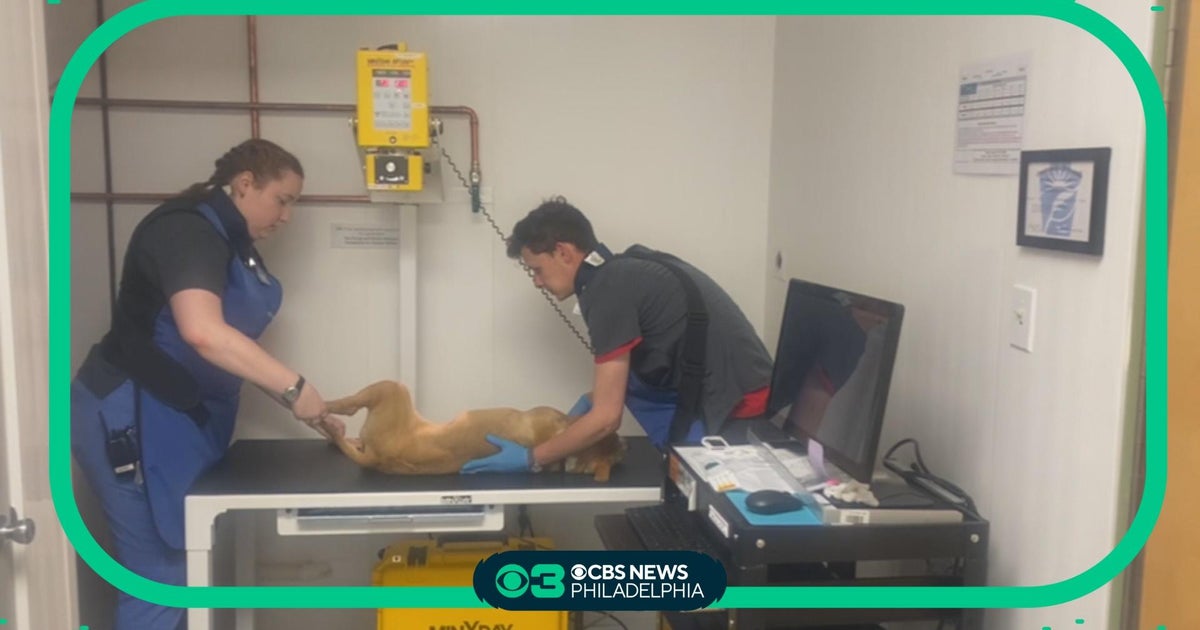ACCT Philly unveils new radiology suite - CBS Philadelphia