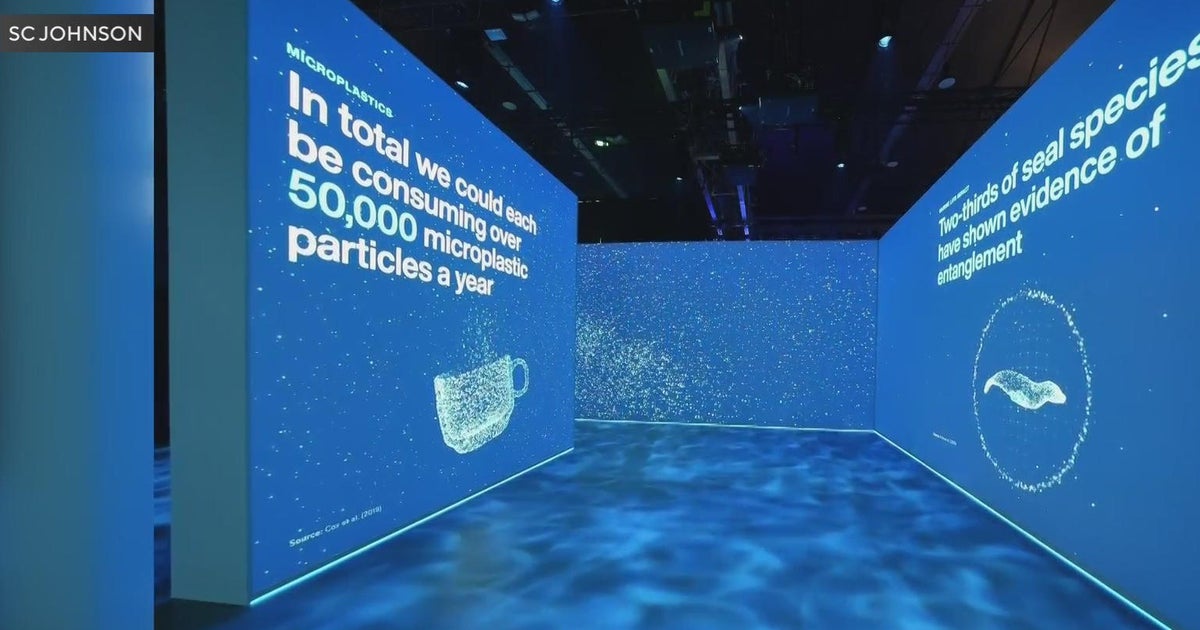 'The Blue Paradox' at MSI showcases dangers of plastic pollution - CBS ...