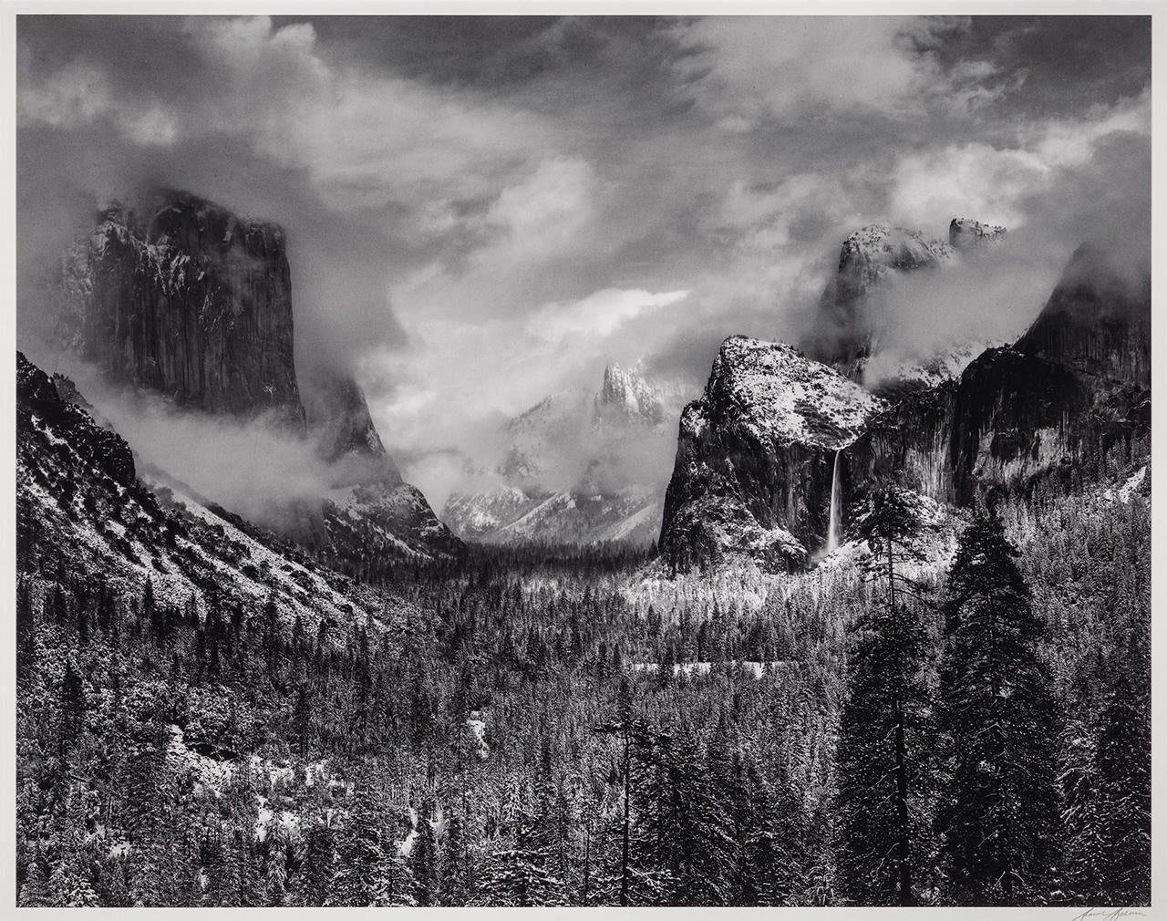 Ansel Adams Ansel Adams | Aspens, Northern New Mexico (1958) | Artsy