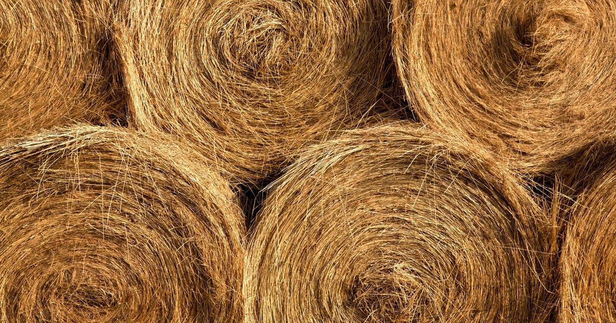 Border patrol agents find migrants smuggled inside hay bales - CBS Texas