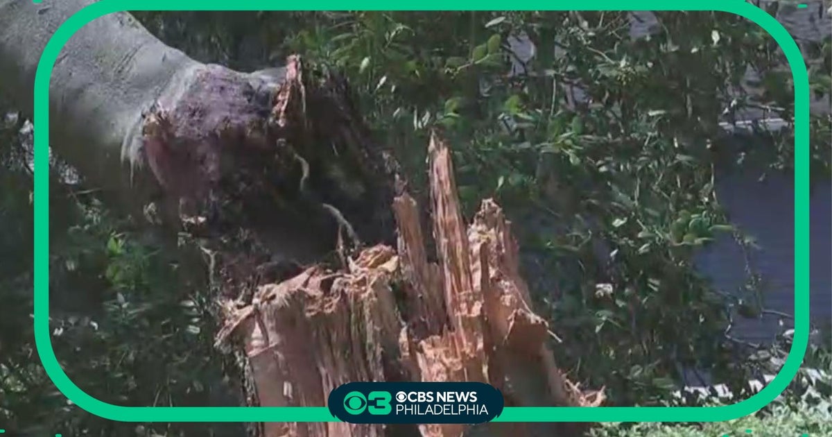 Cleanup underway in Haddonfield after severe weather - CBS Philadelphia