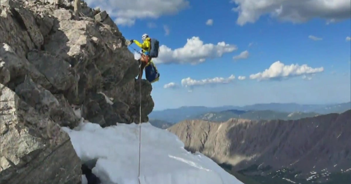 Labradoodle "Zola" rescued after 600-foot fall from Torreys Peak - CBS ...
