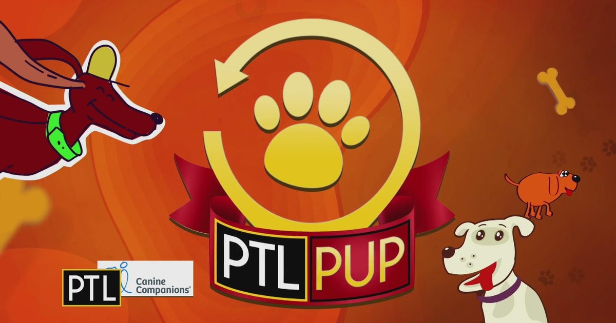 PTL Pupdate: Make Every Day Independence Day - CBS Pittsburgh