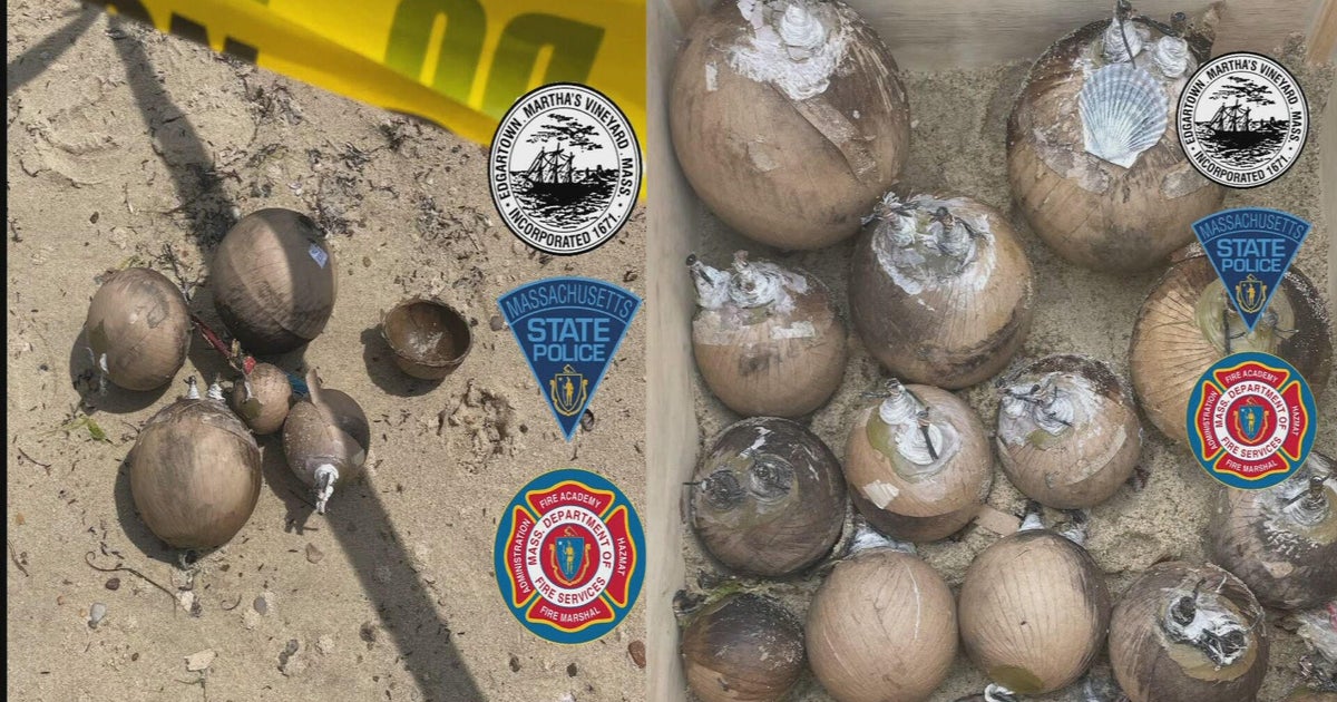 Unexploded fireworks shells wash up on Martha's Vineyard beach, company ...