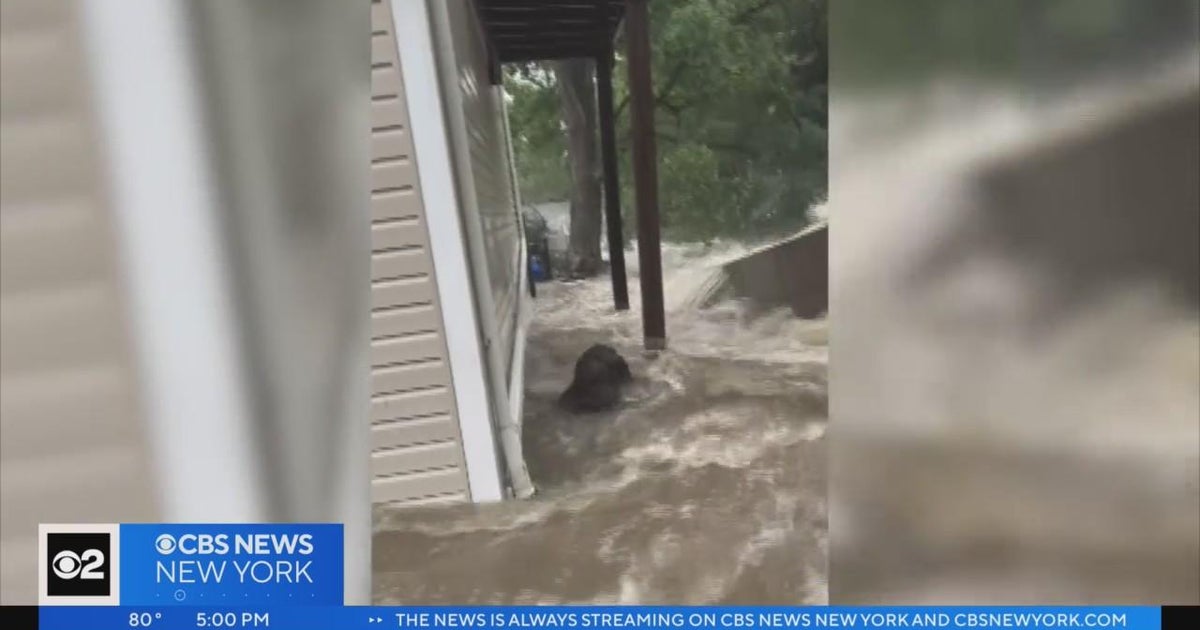 Video shows historic flooding near West Point - CBS New York