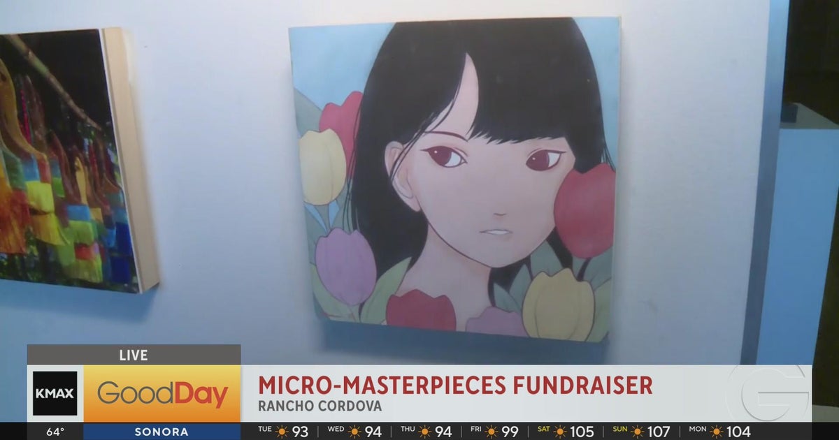 Micro-Masterpieces Fundraiser - Good Day Sacramento