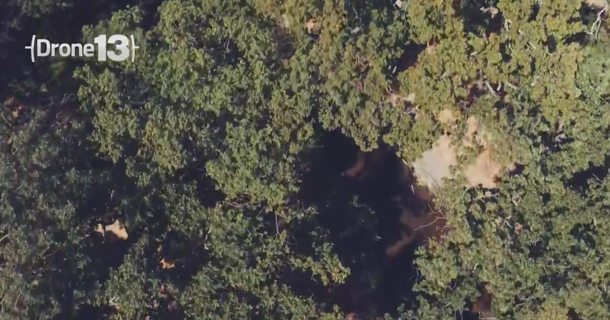 Could better green belt management have helped with Eric Abril search ...