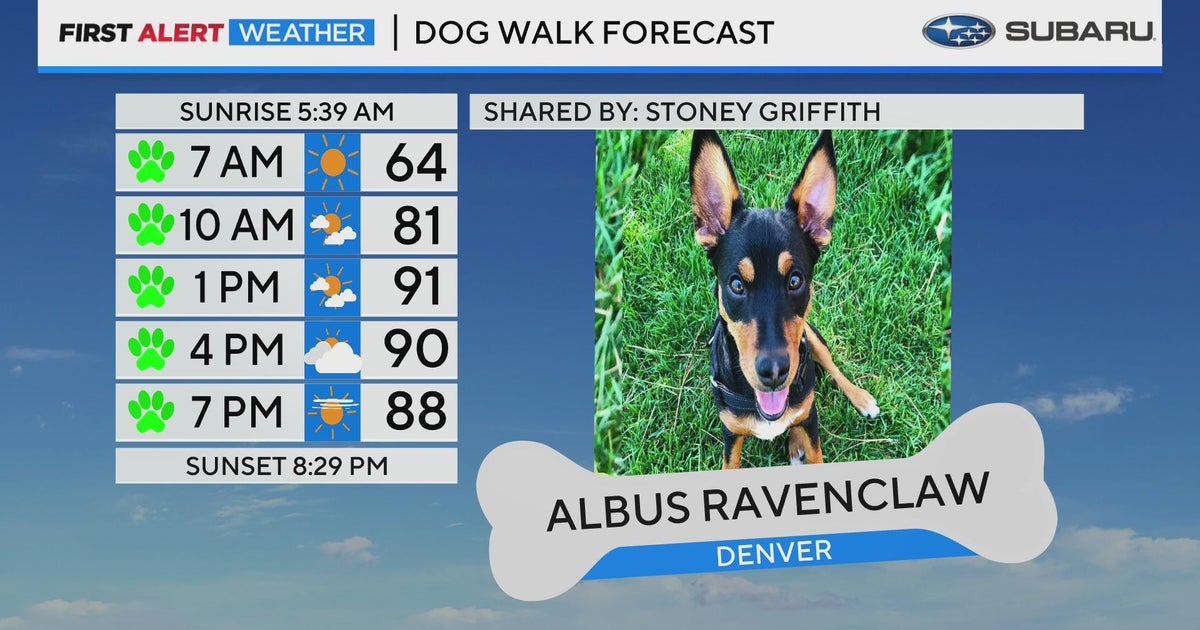 Albus Ravenclaw joins Dog Walk Forecast - CBS Colorado