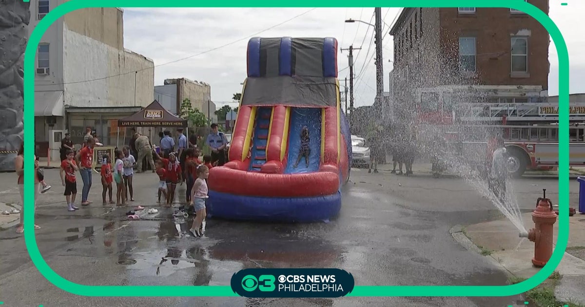 Philadelphia's 25th Police District annual block party in Fairhill ...