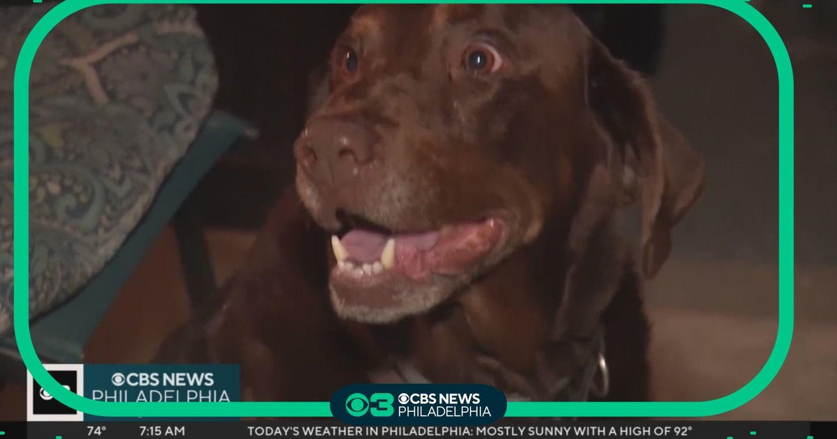 Barking dog leads to capture of Pennsylvania jail escapee - CBS ... Barking dog leads to capture of Pennsylvania jail escapee - CBS ...