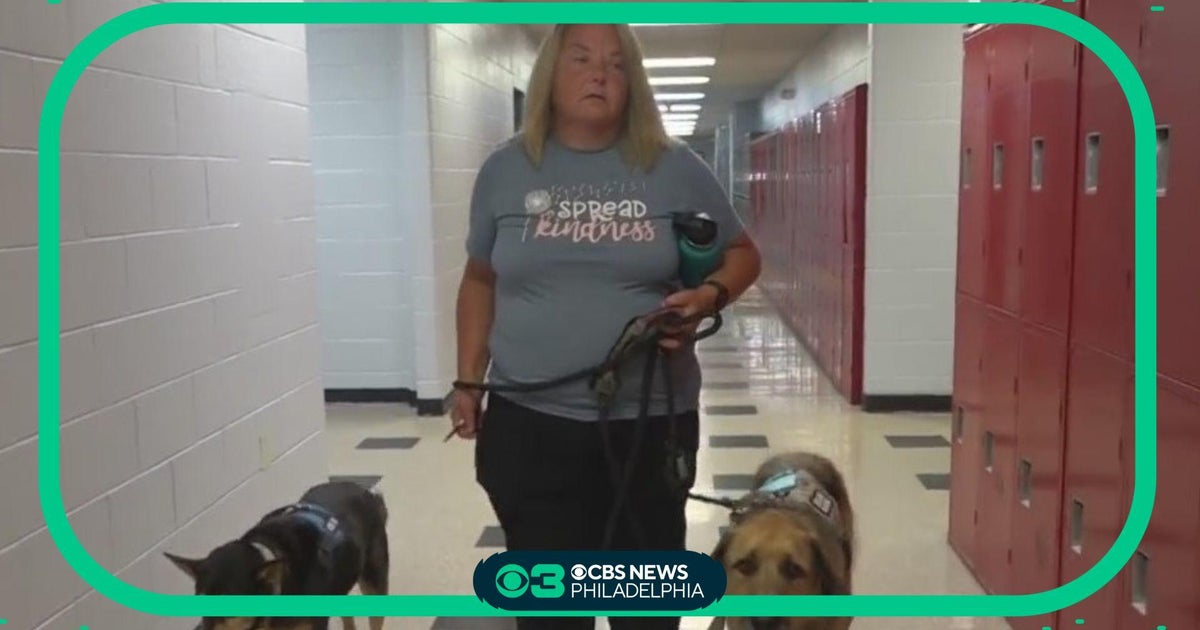 Delco substitute teacher getting critical support from 2 service dogs ...