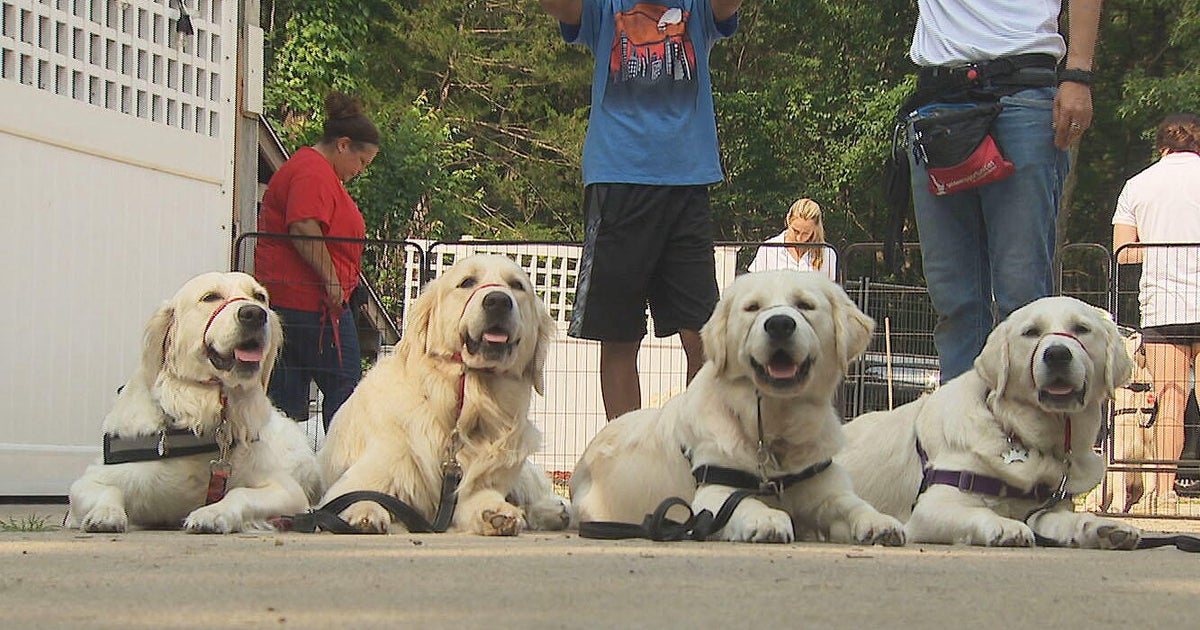 It Happens Here: Walpole's Golden Opportunities for Independence ...