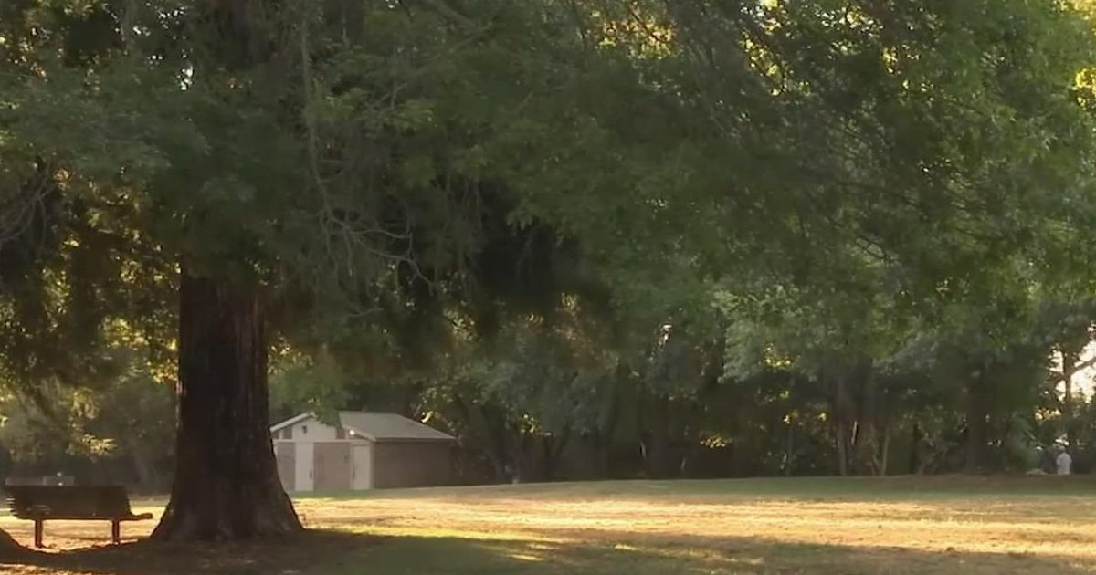 Sighting of bear family in Novato park puts residents on alert - CBS ...