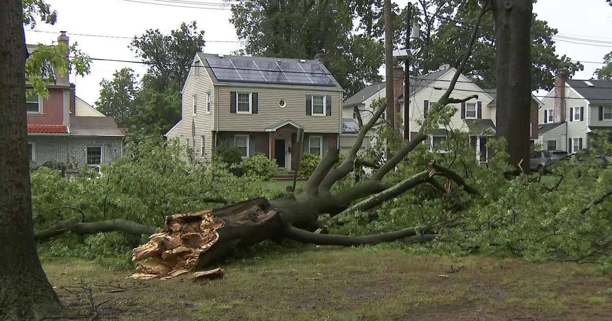 Fast-moving storms leave path of destruction behind in Union - CBS New York