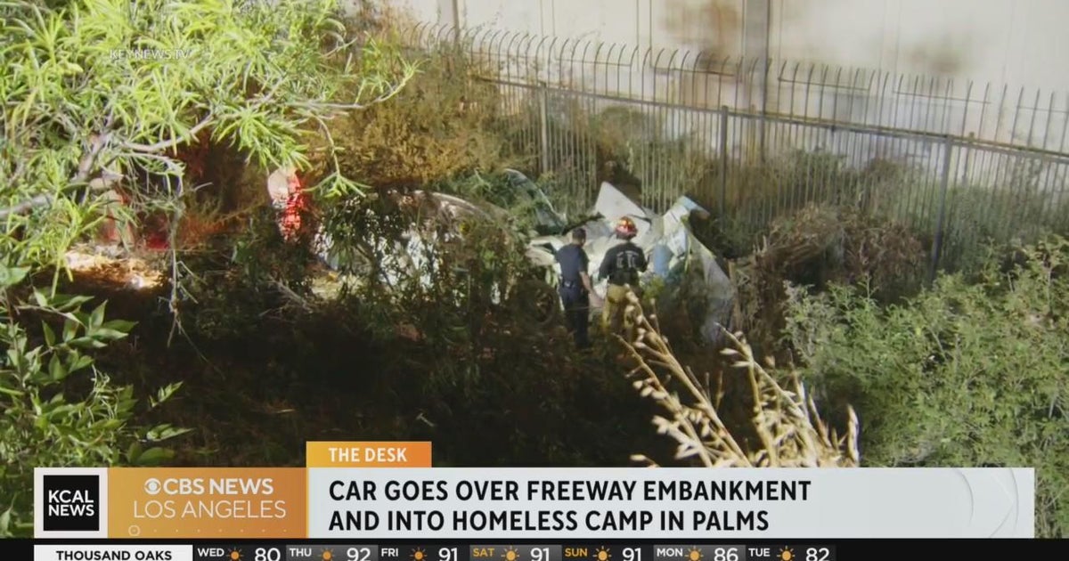 Car goes crashes into a homeless encampment after crashing off the 10 ...
