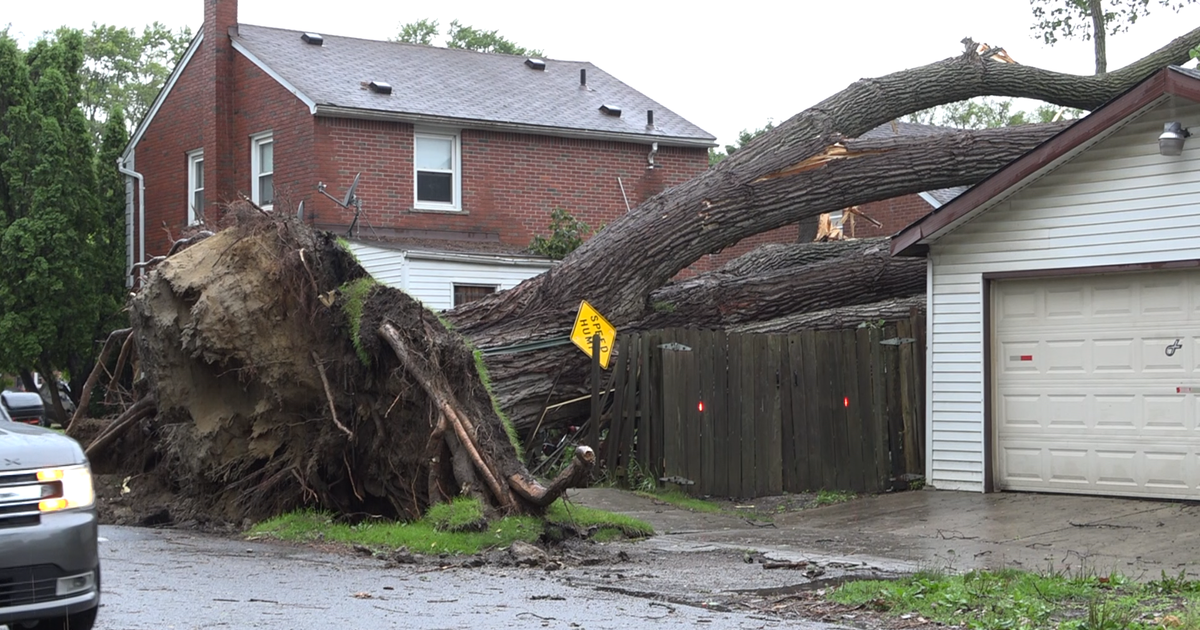 NEXT Weather Alert Day: Thunderstorm watches issued for Lenawee, Monroe ...