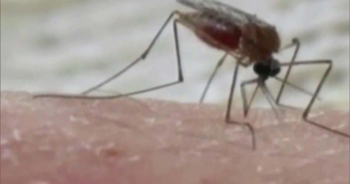 Mosquitoes carrying West Nile Virus more prevalent in Colorado this ...
