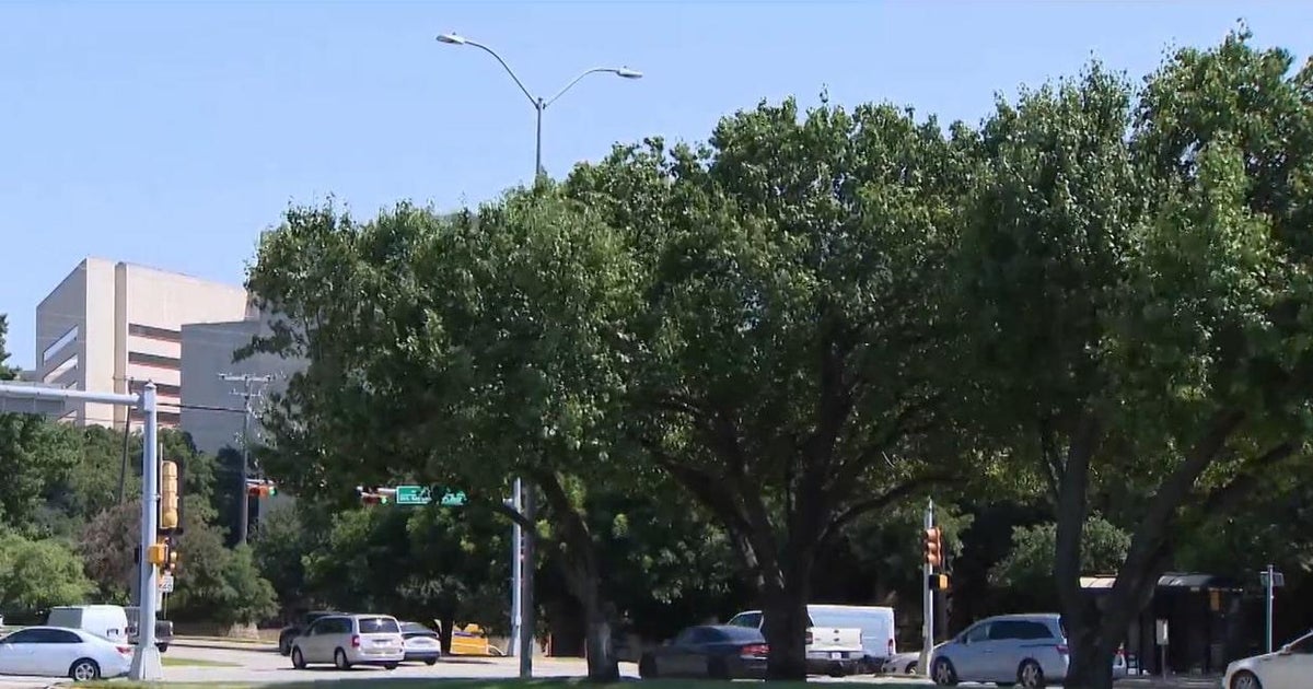 Planting trees to keep Texas cool - CBS Texas