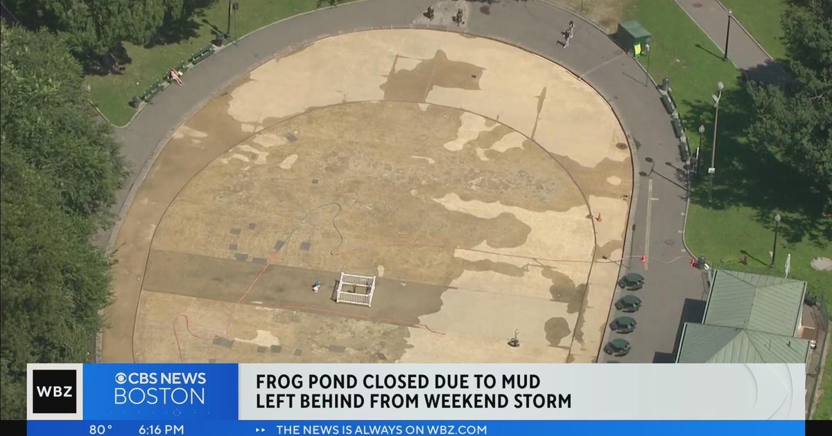 Frog pond closed due to mud left behind from storm - CBS Boston