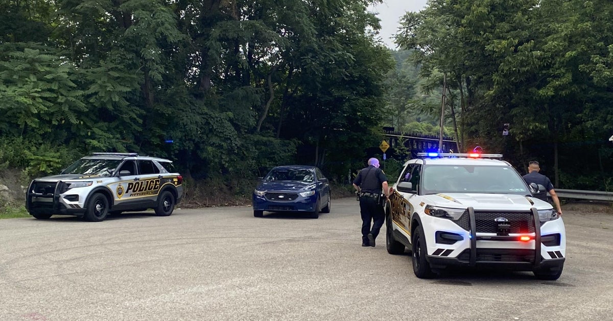 Police: Man arrested in Monongahela River after attempted carjacking ...