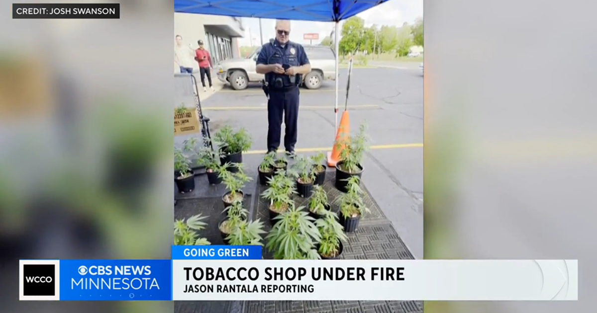 "Illegal" pot sales at Faribault tobacco shop due to misinformation and ...