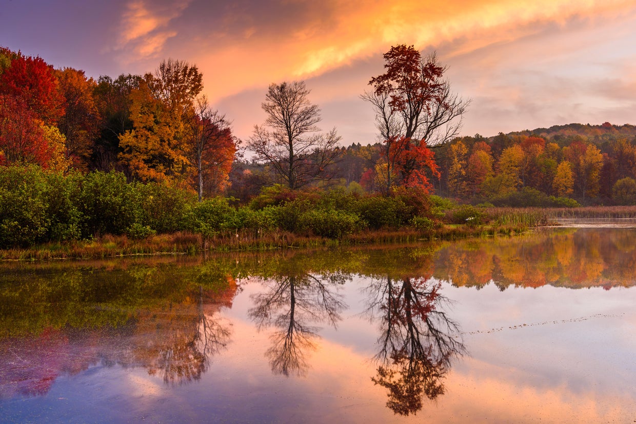 Keystone State Park nominated as one of the nation's best fall foliage ...