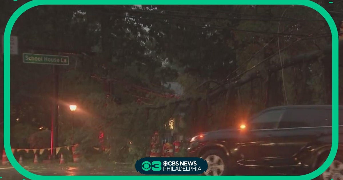 Powerful winds blow down trees, power lines in southeastern ...